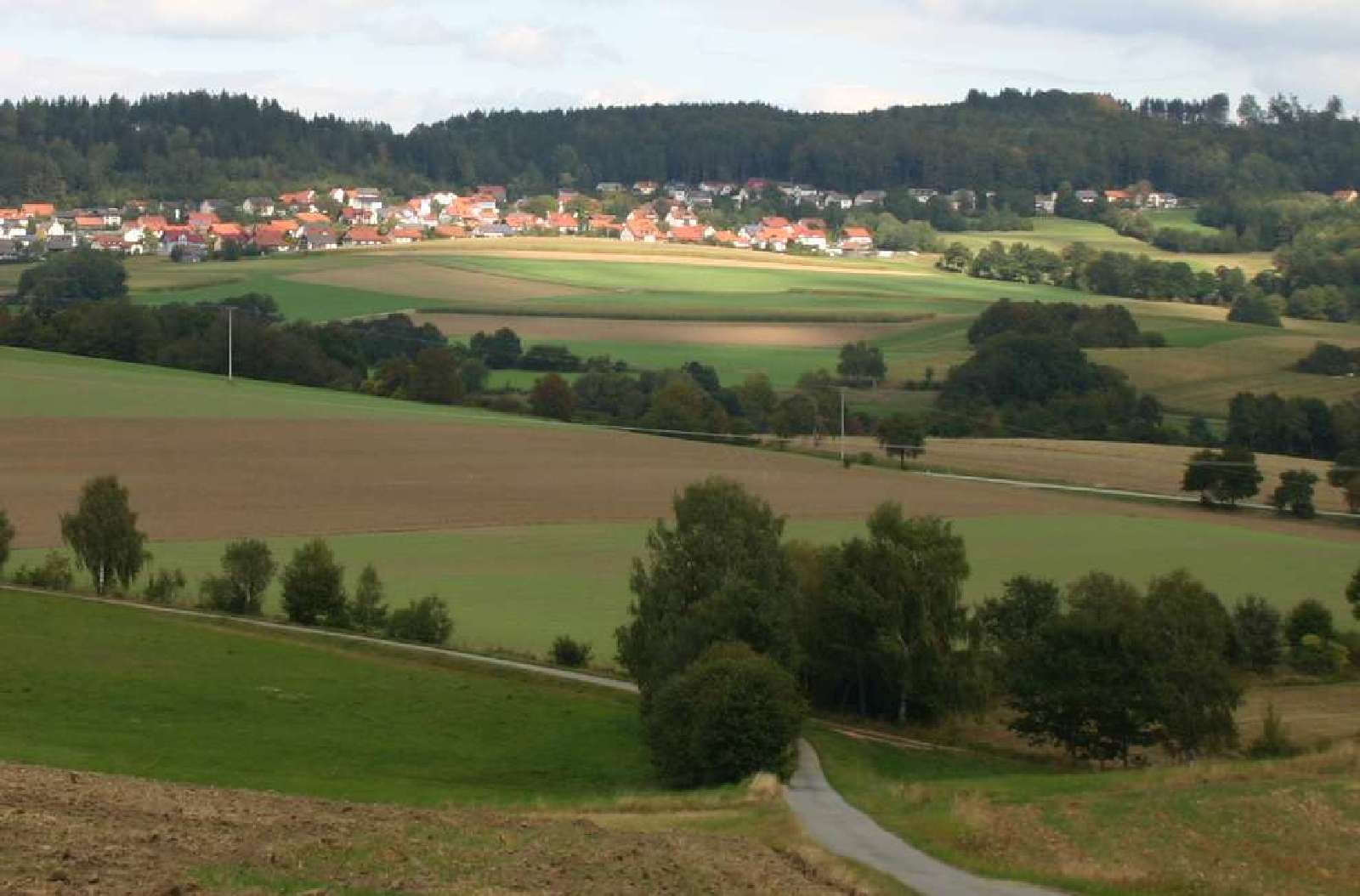 Rebhuhn-Ausstellung – Wildland Stiftung Bayern