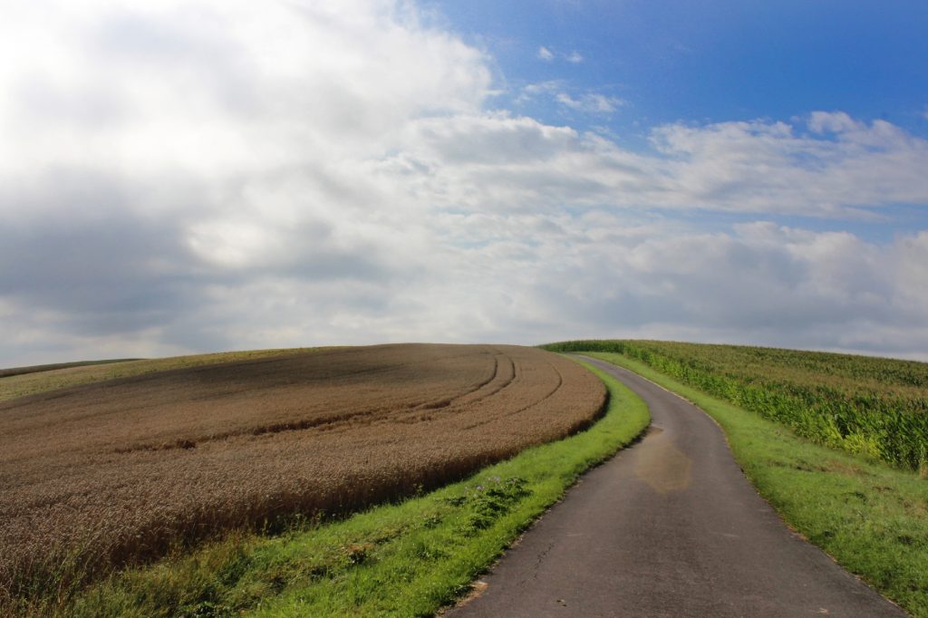 Intensive Landnutzung_1900©Ökol. Bildungsstätte Oberfranken – Wildland ...