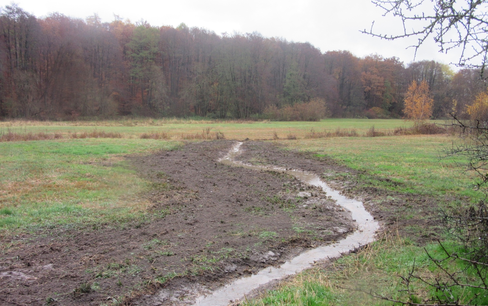 Brühl-Quelle bei Oberthulba – Wildland Stiftung Bayern